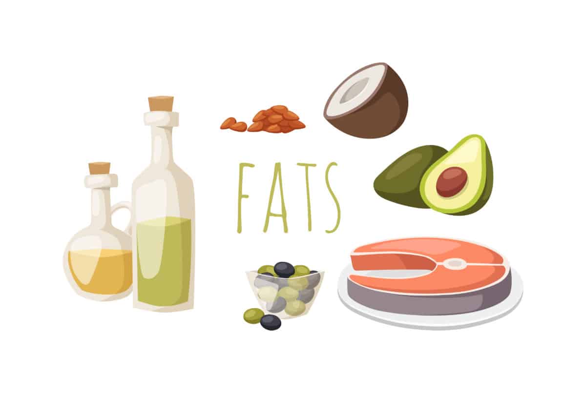 18 Healthy Fats to Lose Weight (Reduce Fat With Good Fats)