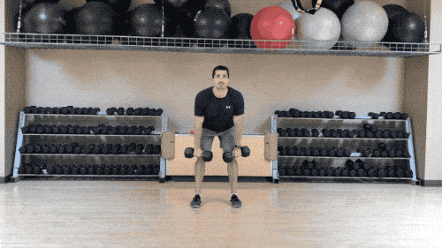 10 Best Exercises to Burn Belly Fat Fast (Exercise at Home)