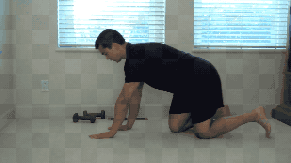 5 Best Exercises for Flabby Arms (Tighten Bat Wings Workout)