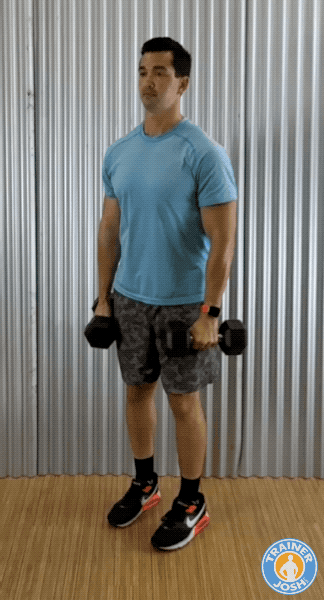 10 Best Dumbbell Arm Exercises (At-Home Workout Plan)