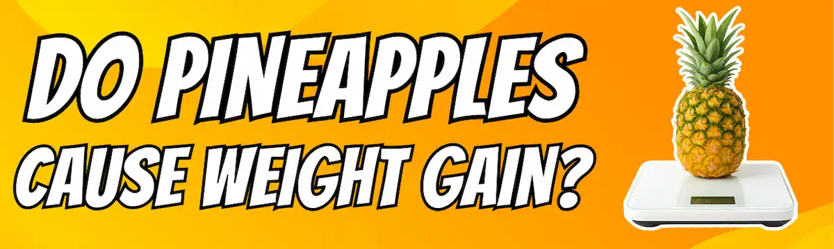 Is Oatmeal Fattening? Why Oatmeal Can Make You Gain Weight